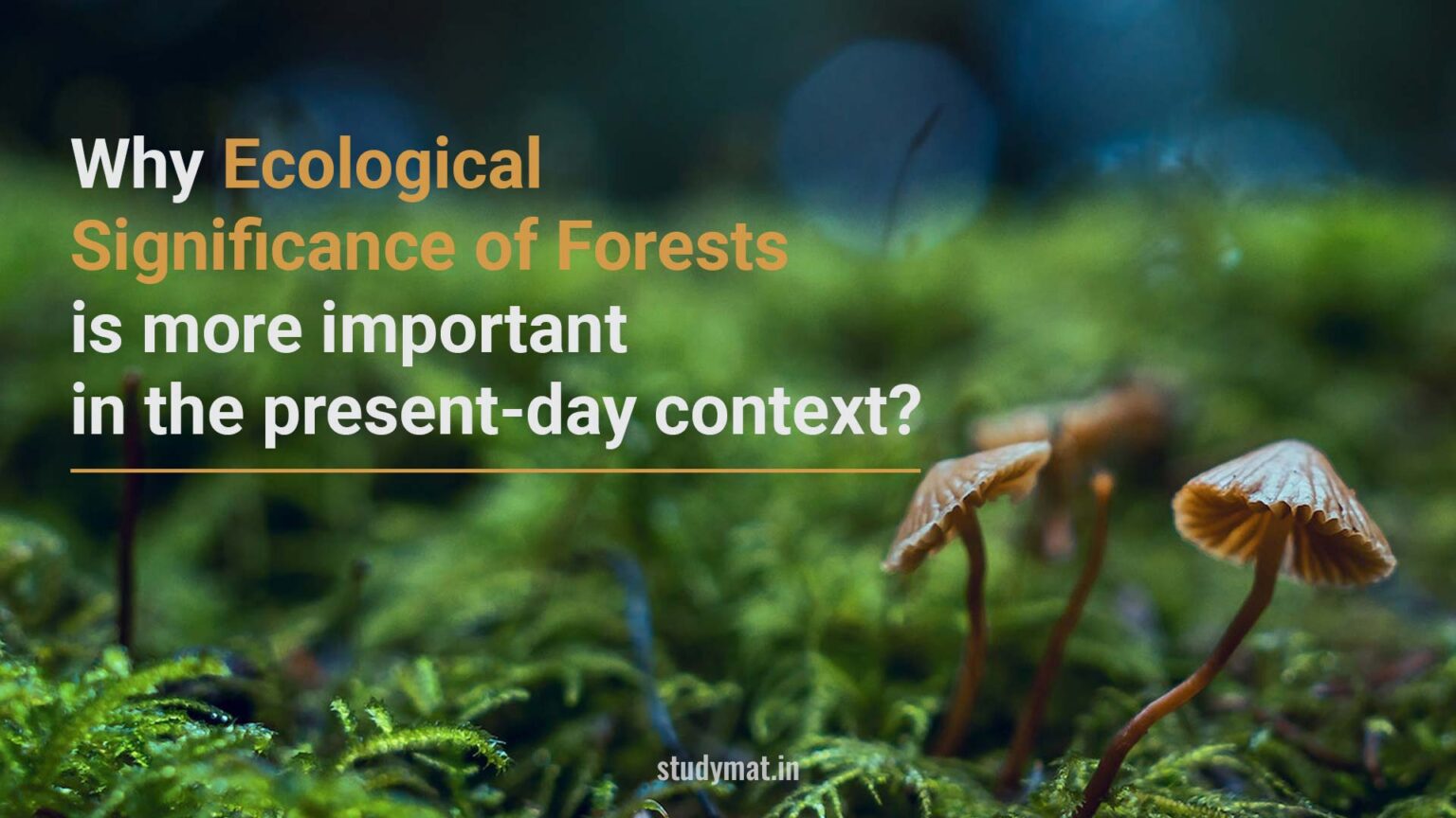 Ecological Significance of Forests is more Important in Present-Day ...