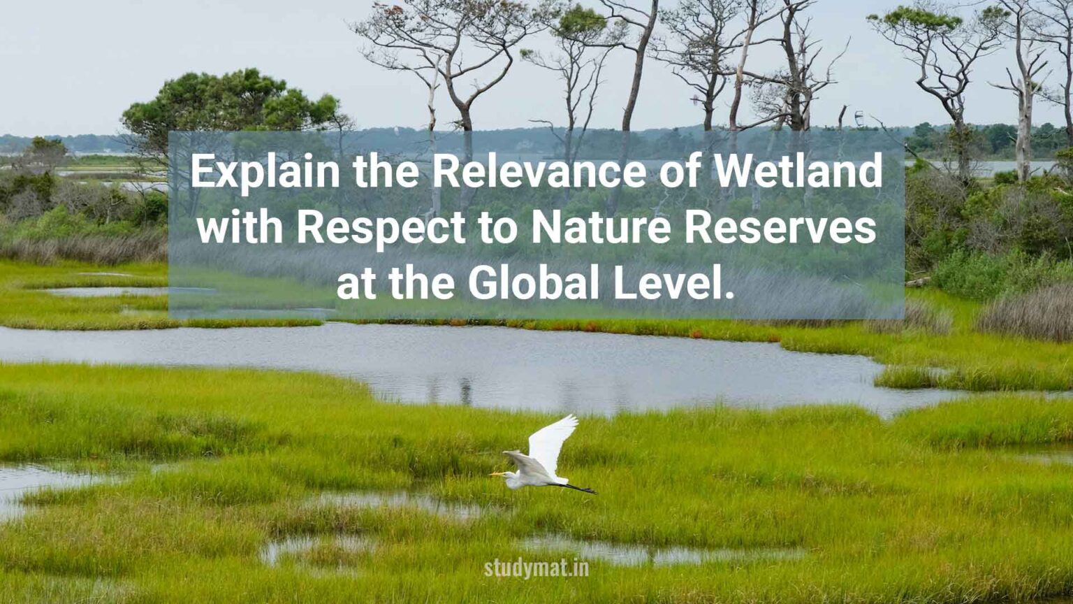 Explain the Relevance of Wetland with Respect to Nature Reserves at the ...